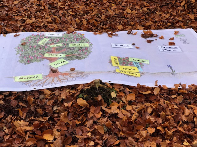 Pfad II – Biologische Station Osterholz (BioS)